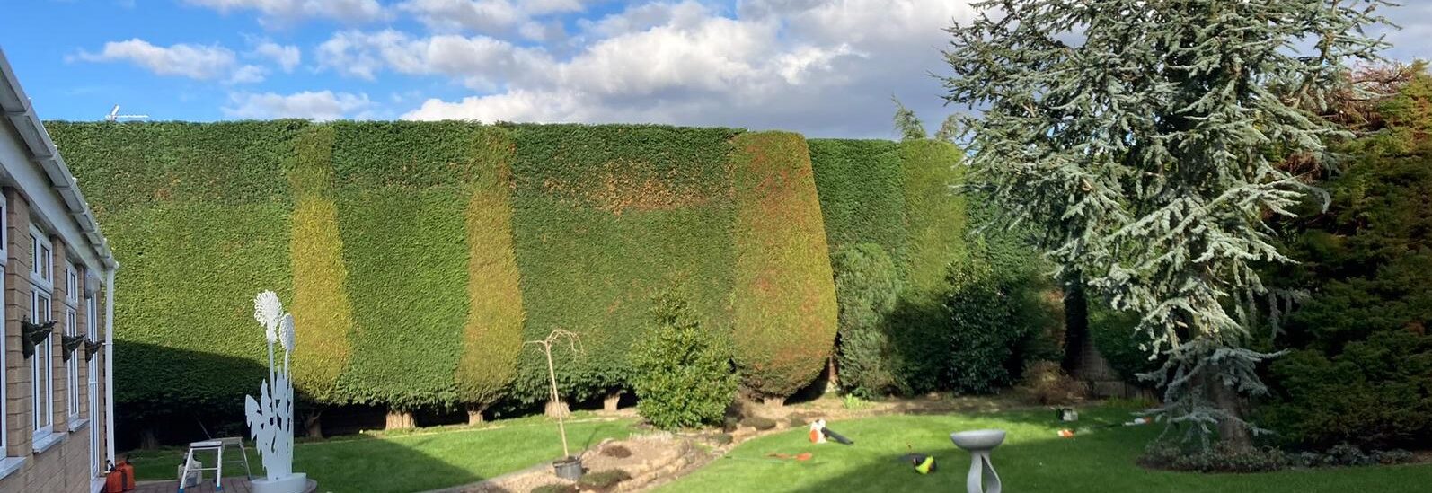 Contact - Angus Tree Care