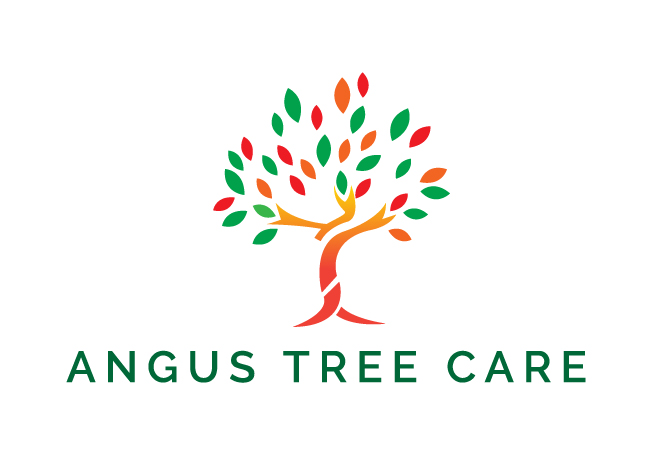 Angus Tree Care - Tree Surgeon and Arborist Services