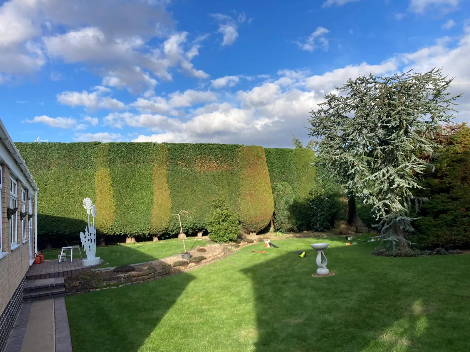 Site Clearance - Angus Tree Care